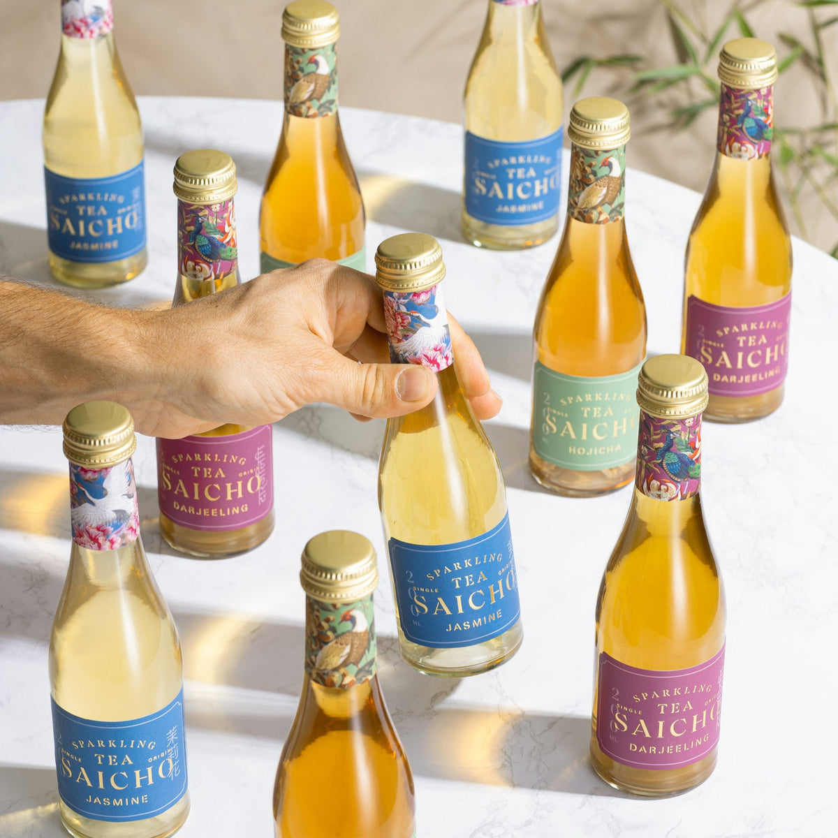 Saicho Sparkling Tea Saicho Mini Collection
